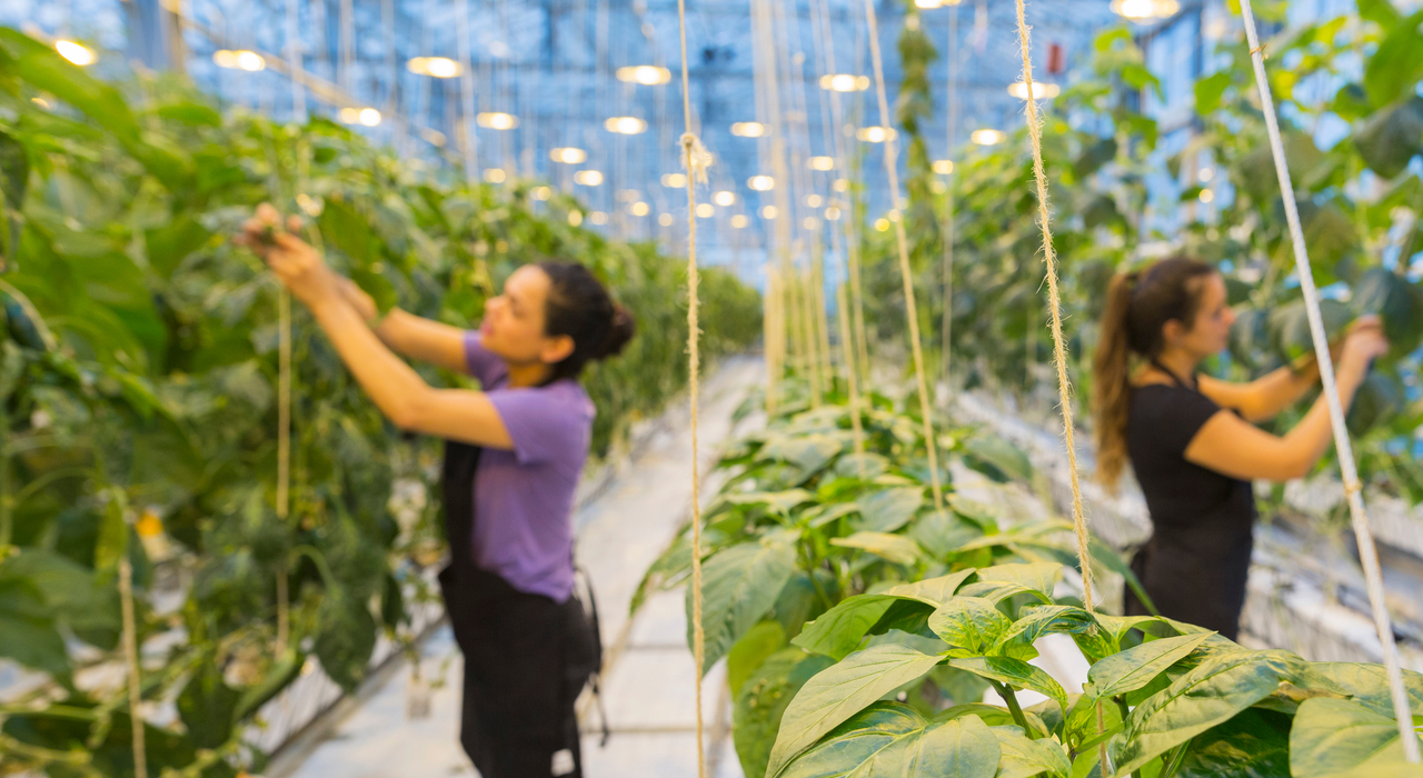 Homepage - Fooder, Food University of Emilia Romagna | Fooder