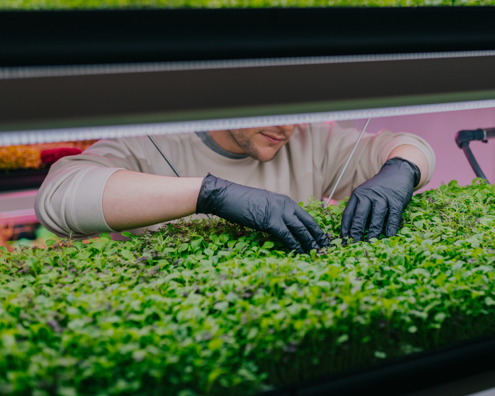 For Students - Fooder, Food University of Emilia Romagna | Fooder